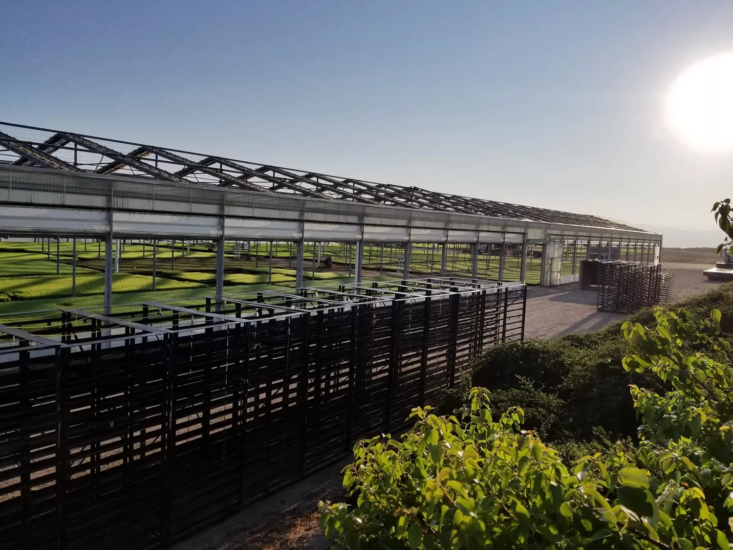 See firsthand how local producers turn seeds into sustenance at the ...
